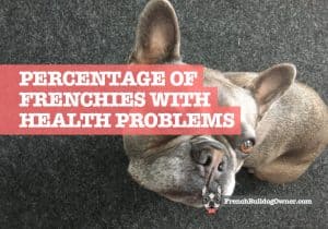 What Percentage of French Bulldogs Have Health Problems?